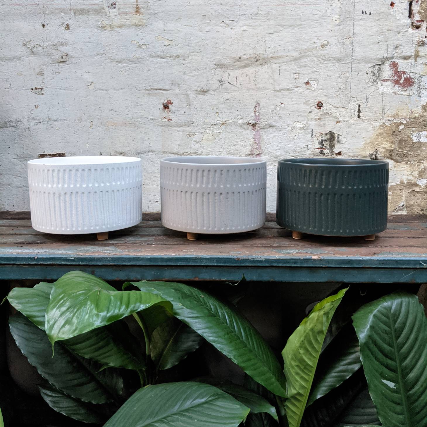 Oslo Wide Pot - Wide Plant Pot - Cloud Grey & Forest Green
