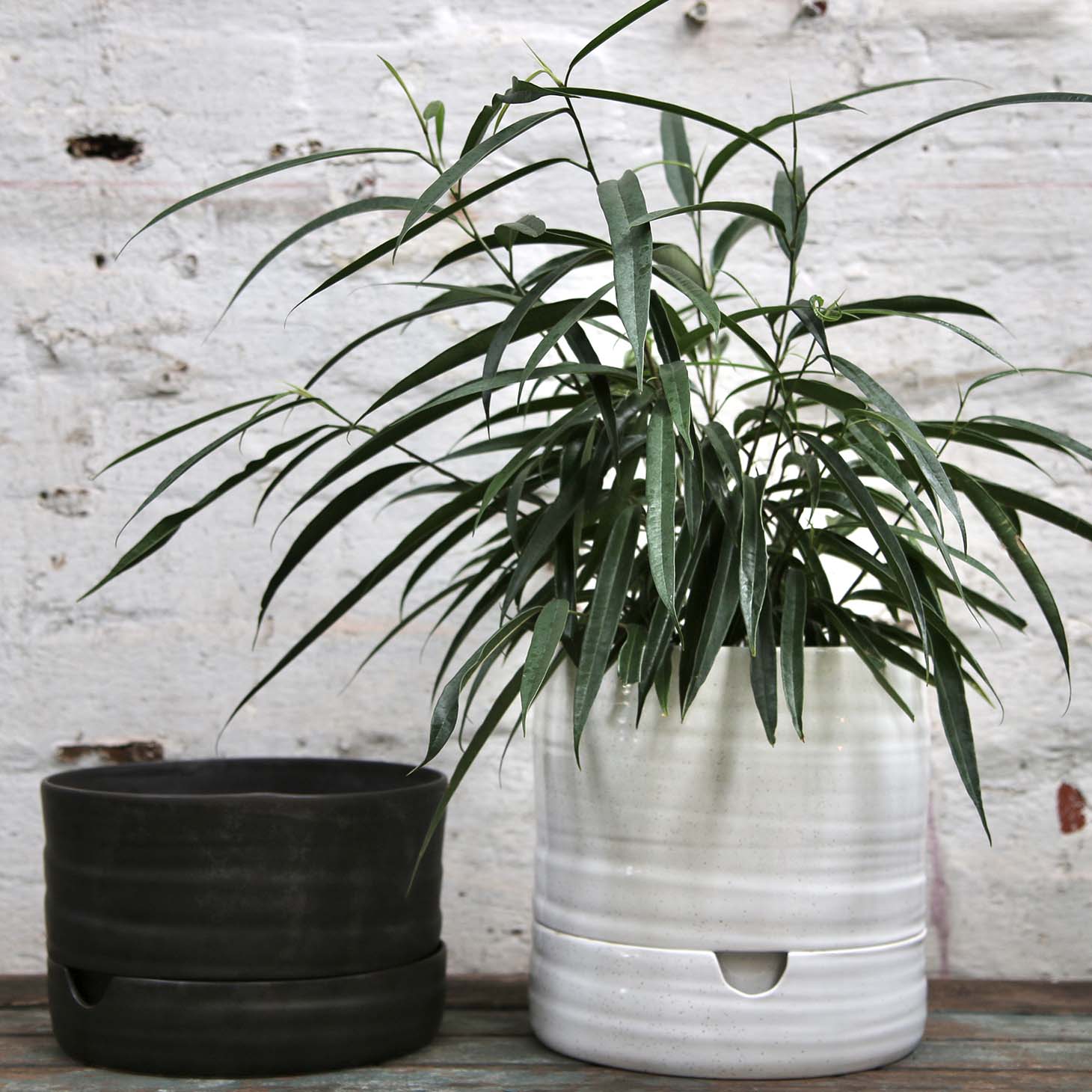 Self Watering Ceramic Pot - Ceramic Planters - Glasshaus
