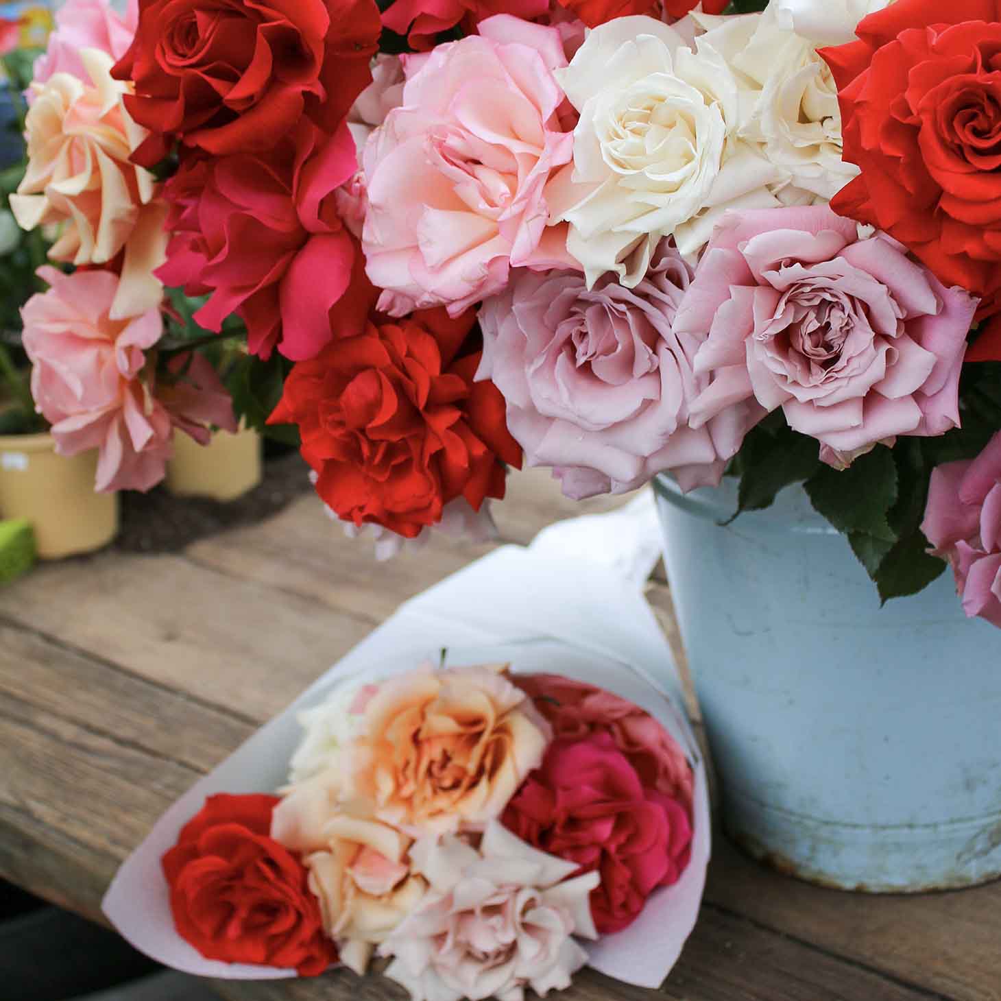 Coloured Roses - Buy Rose Bouquet Online - Glasshaus