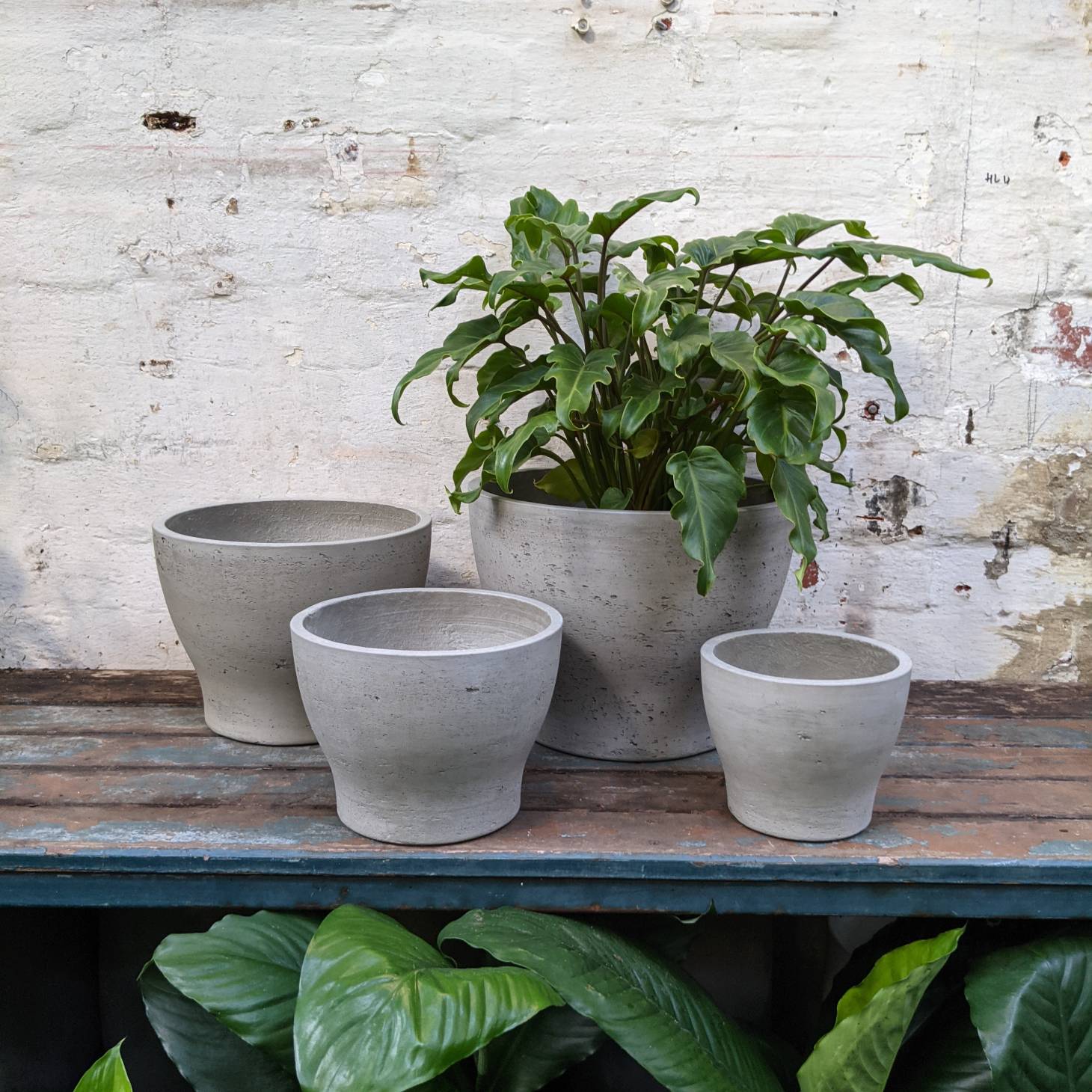 Modcrete Natural Olive Pot - Pot Planter Indoor - Glasshaus